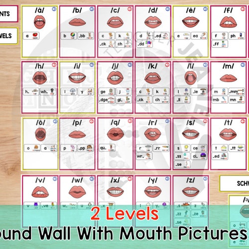 Sound Wall Bundle Vowels and Consonants - Etsy