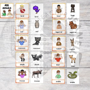 ASL Forest Animals Flash Cards, American Sign Language, ASL Flashcards ...