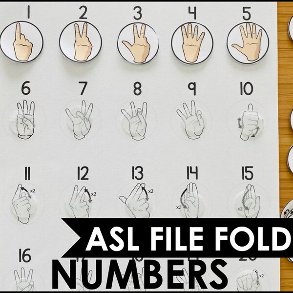 File Folder Game - Etsy