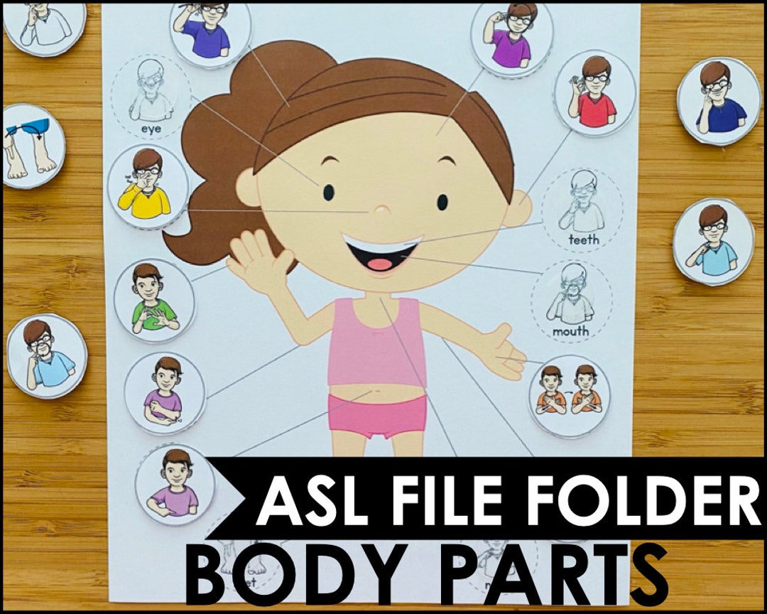 ASL Body Parts Matching Activity ASL File Folder Activity - Etsy