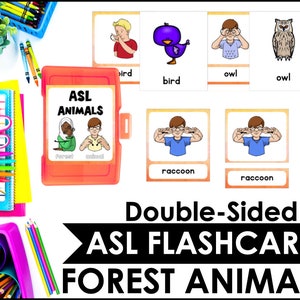 ASL Forest Animals Flash Cards American Sign Language ASL - Etsy