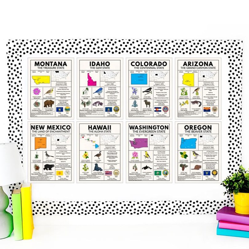 50 States Fact Posters and Coloring Pages | US Geography Bundle | State ...