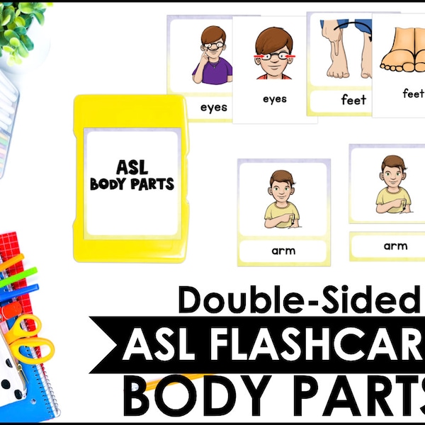 Body Parts Flash Cards - Etsy
