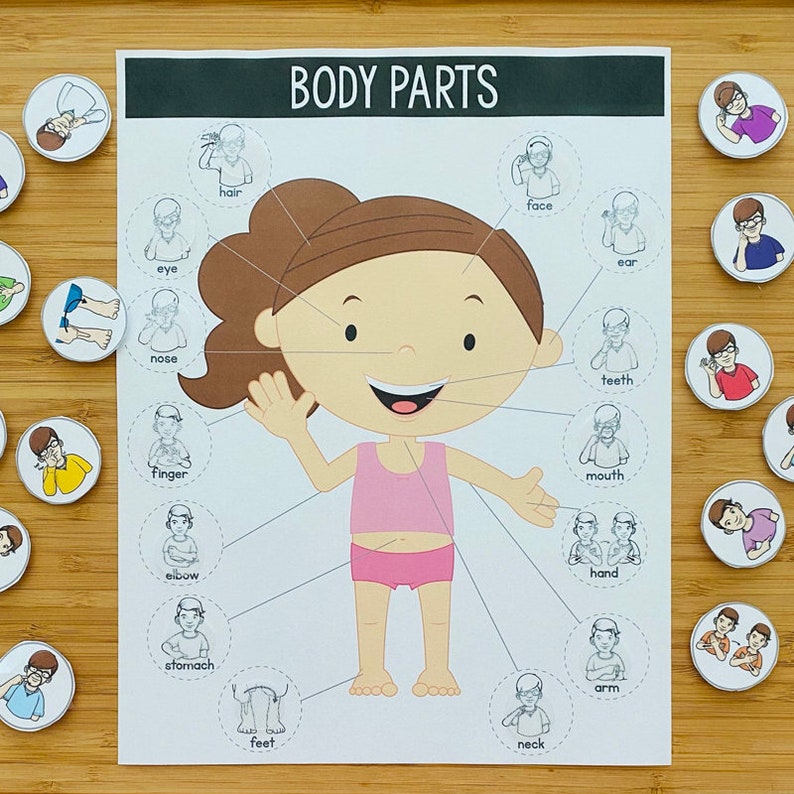 ASL Body Parts Matching Activity: Preschool Learning Mats (PDF) - Etsy