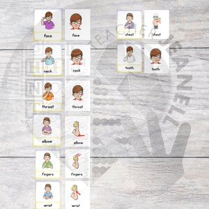 ASL Flashcards, ASL Body Parts, Sign Language Flash Cards - Etsy