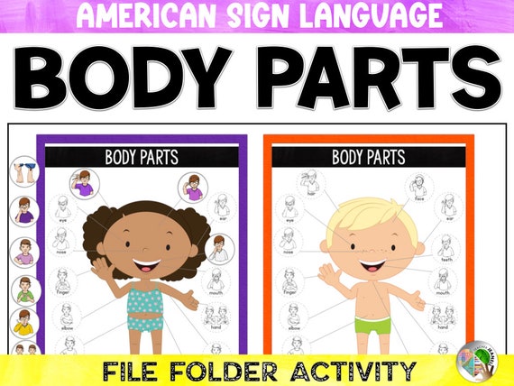 ASL Body Parts Matching Activity ASL File Folder Activity - Etsy