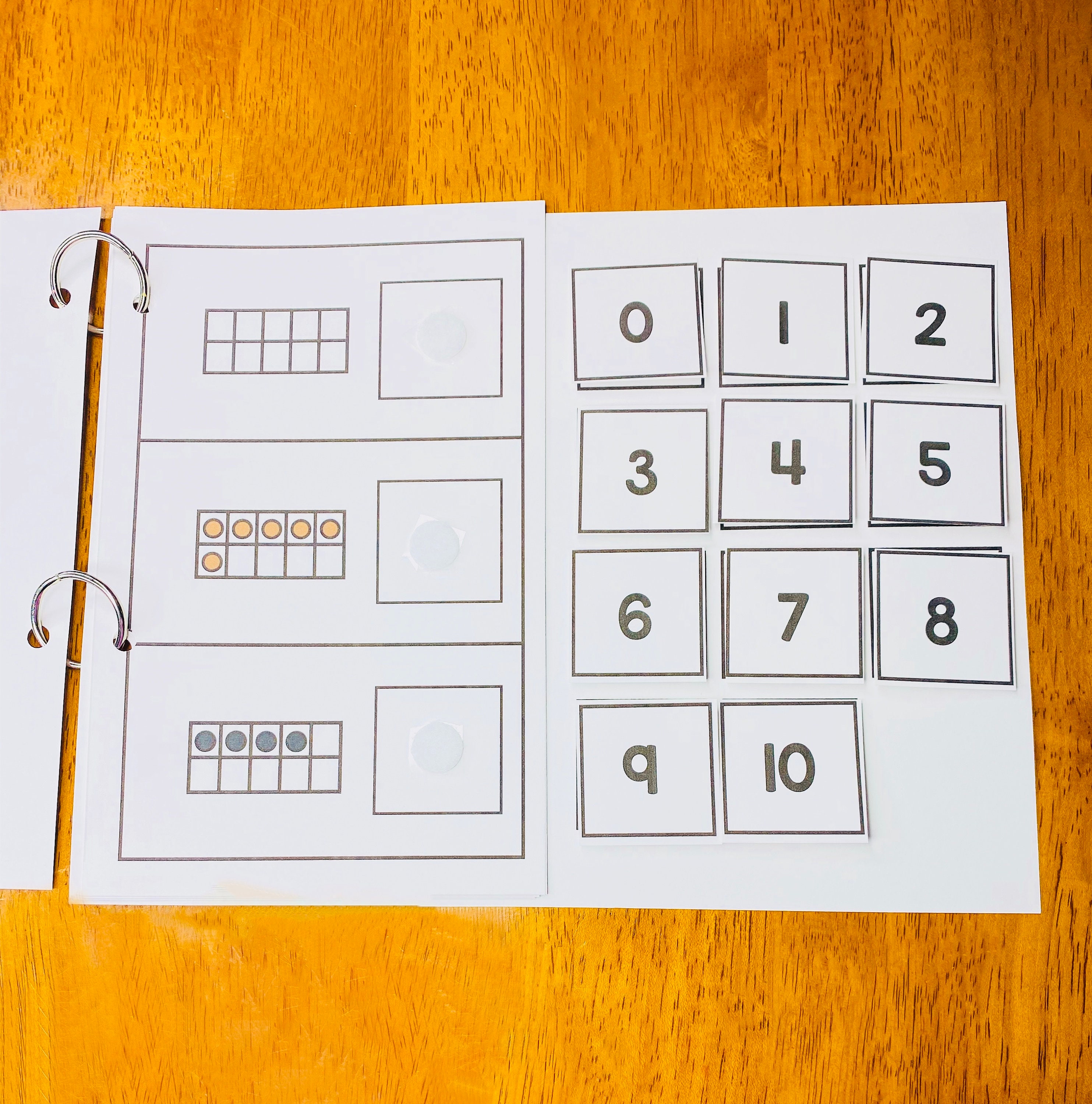 Numbers and Counting Counting Practice Early Math Numbers | Etsy