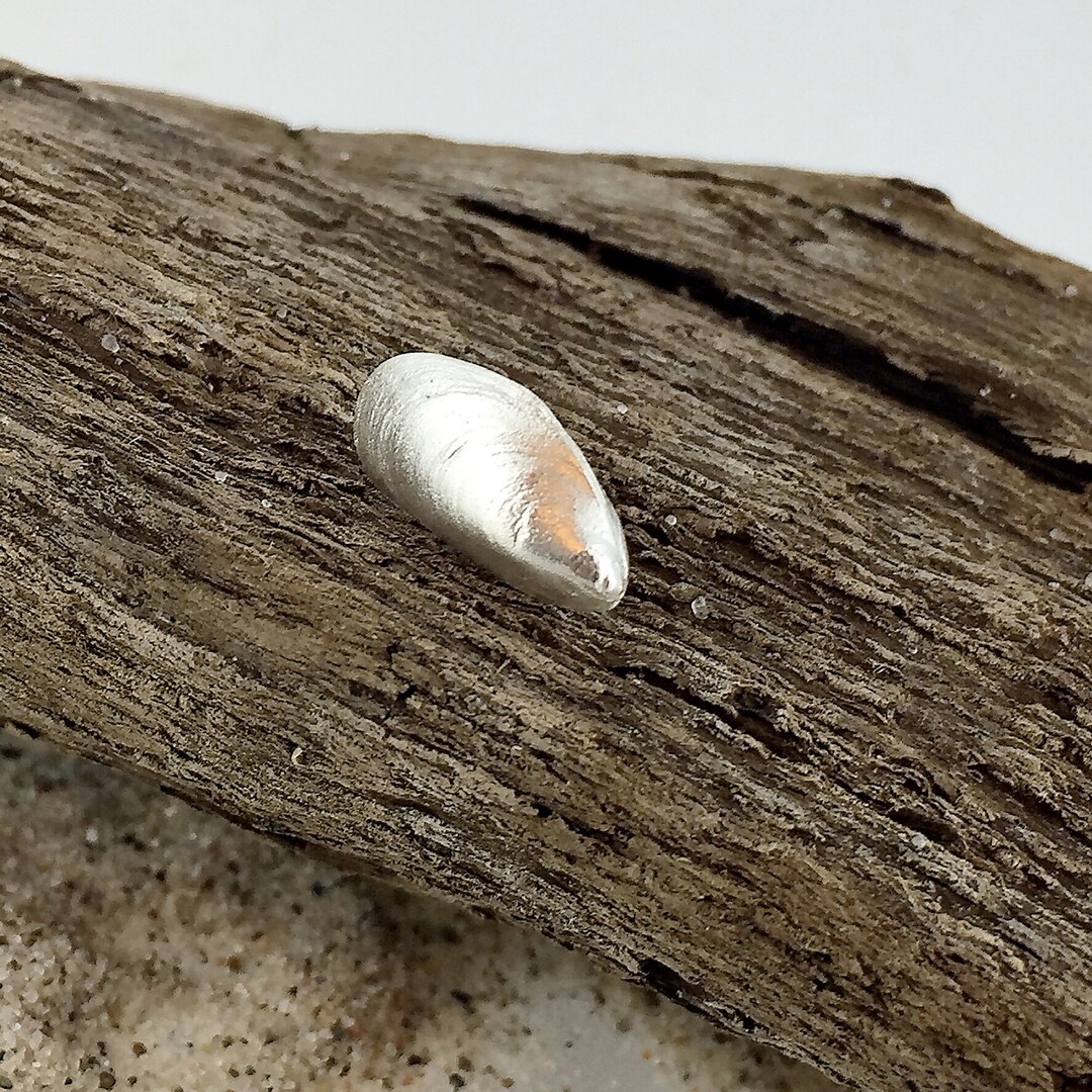 Travel Shell Lucky Charm Mussel 925 Silver - Etsy