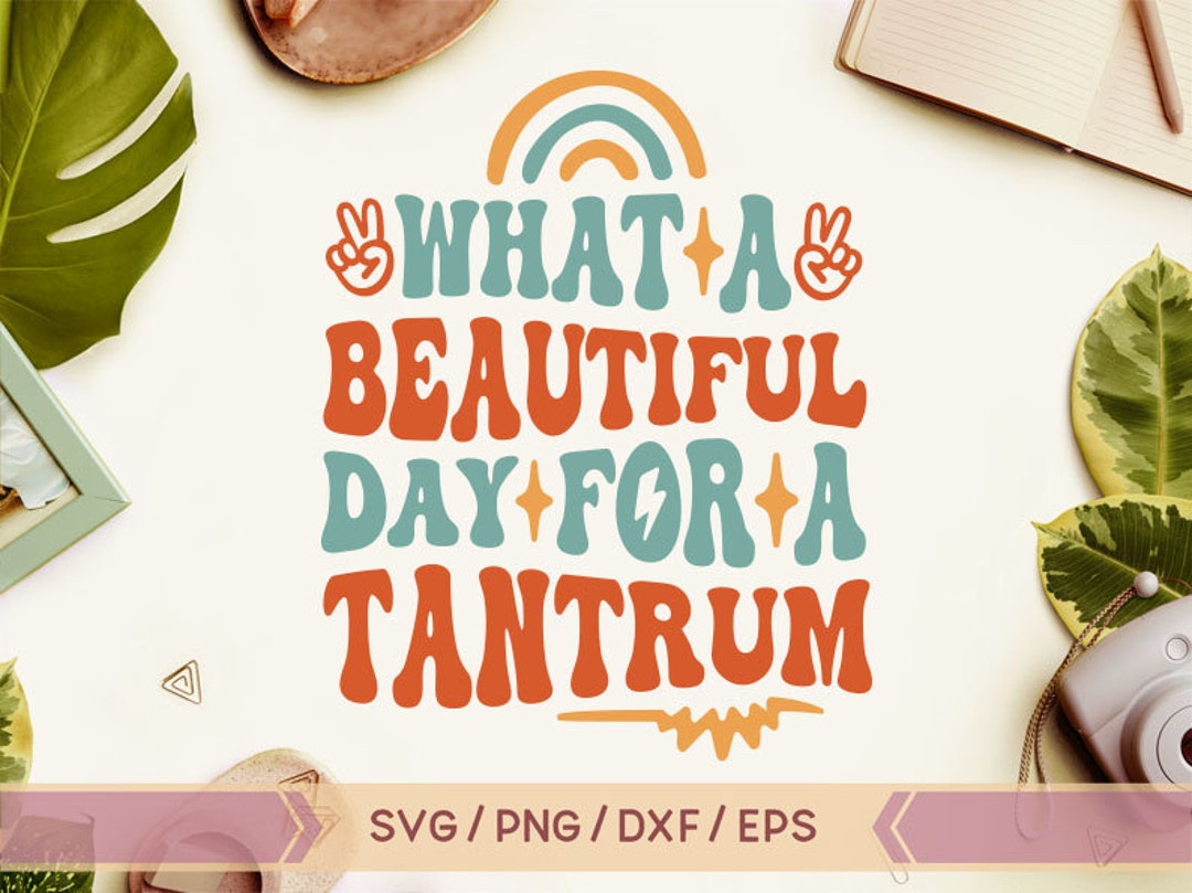 What A Beautiful Day for a Tantrum Svg, Tantrum Png, Funny Kid Svg, Kid ...