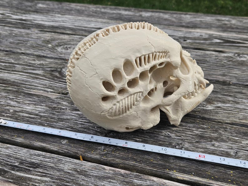 3D Printed Alien Skull Sculpture, Xenomorph Predator Head, Sci-fi ...