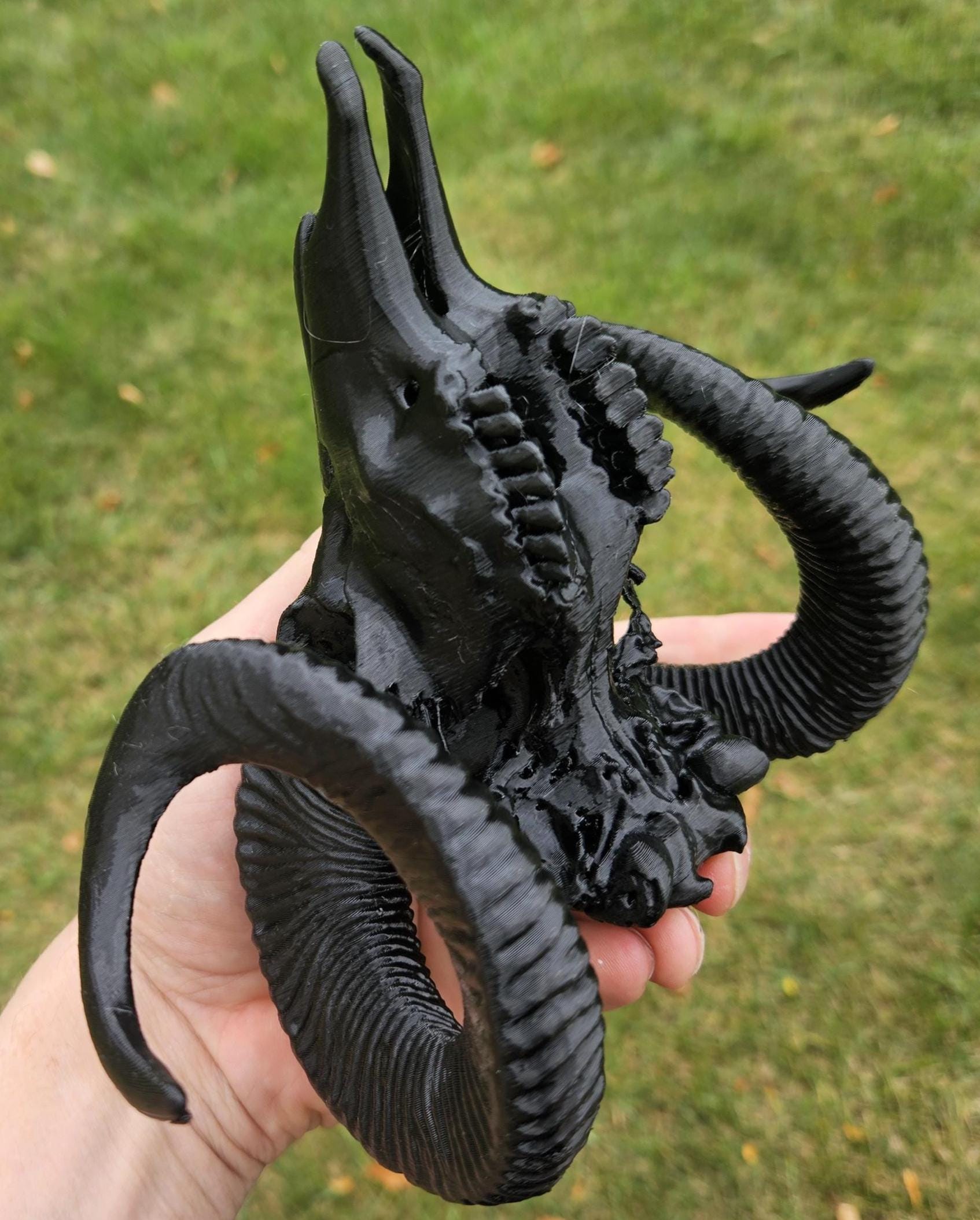LARGE Black 3D Printed Ram Skull Realistic Ram/goat/sheep Custom Colors ...