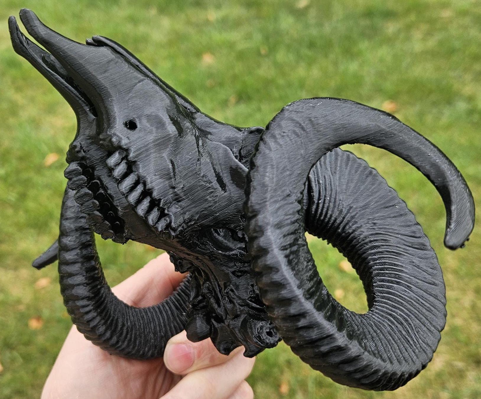 LARGE Black 3D Printed Ram Skull Realistic Ram/goat/sheep Custom Colors ...