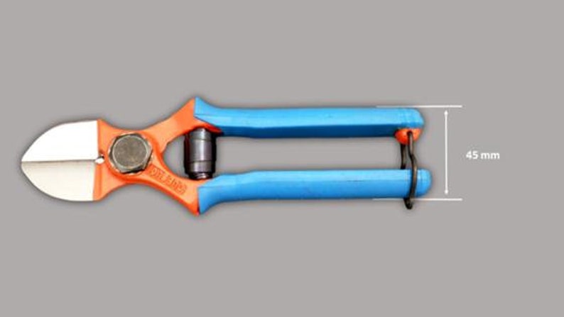 Due BUOI Forged Light Double Cutting Blades SECATEURS DB 132/20 With ...