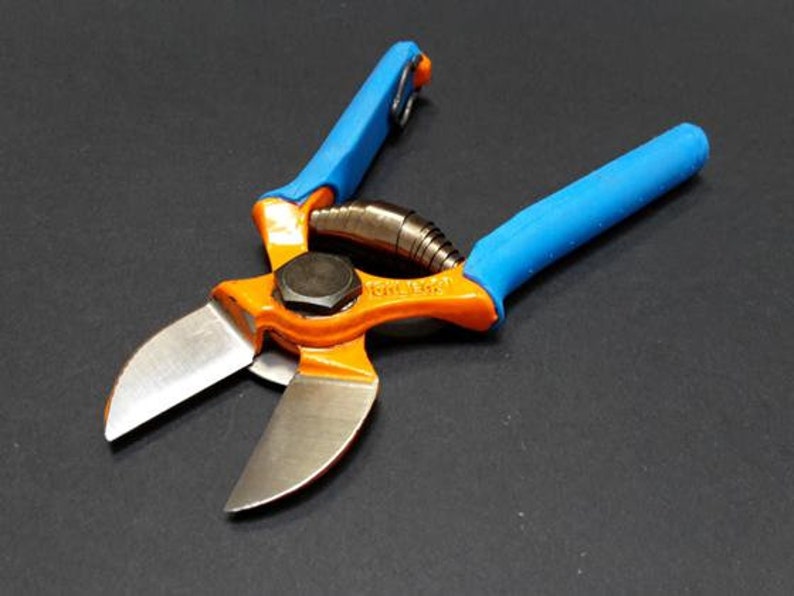 Due BUOI Forged Light Double Cutting Blades SECATEURS DB 132/20 With ...