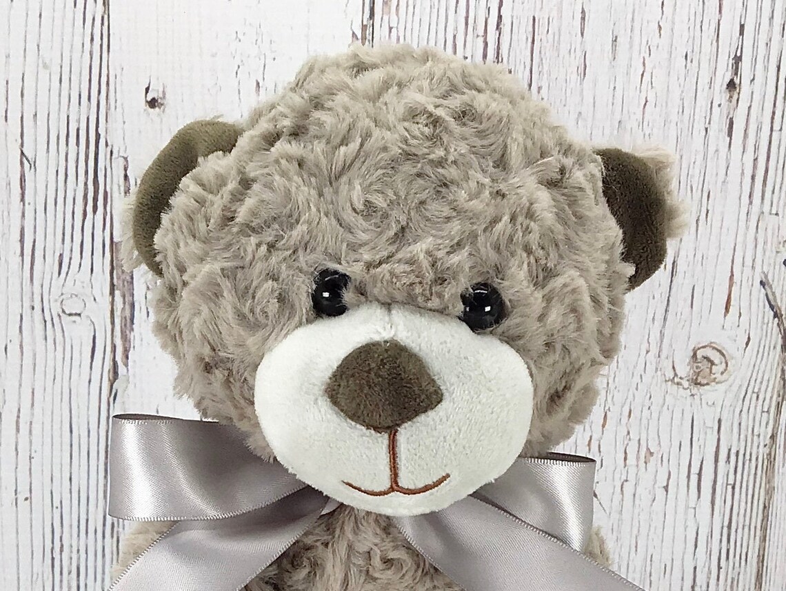 DEDICATION Teddy Bear, Personalized Dedication Stuffed Animal, Custom ...