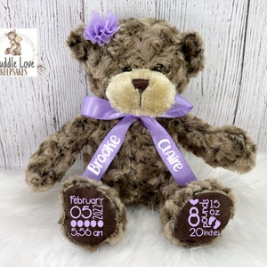 Teddy Bear Birth Stats Stuffed Animal, Personalized Plush Bear Birth ...