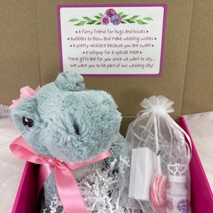 Ring Bearer T-rex Dinosaur Proposal Box, Flower Girl TREX Proposal ...