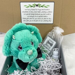 Ring Bearer Triceratops Dinosaur Proposal Box, Flower Girl Proposal ...