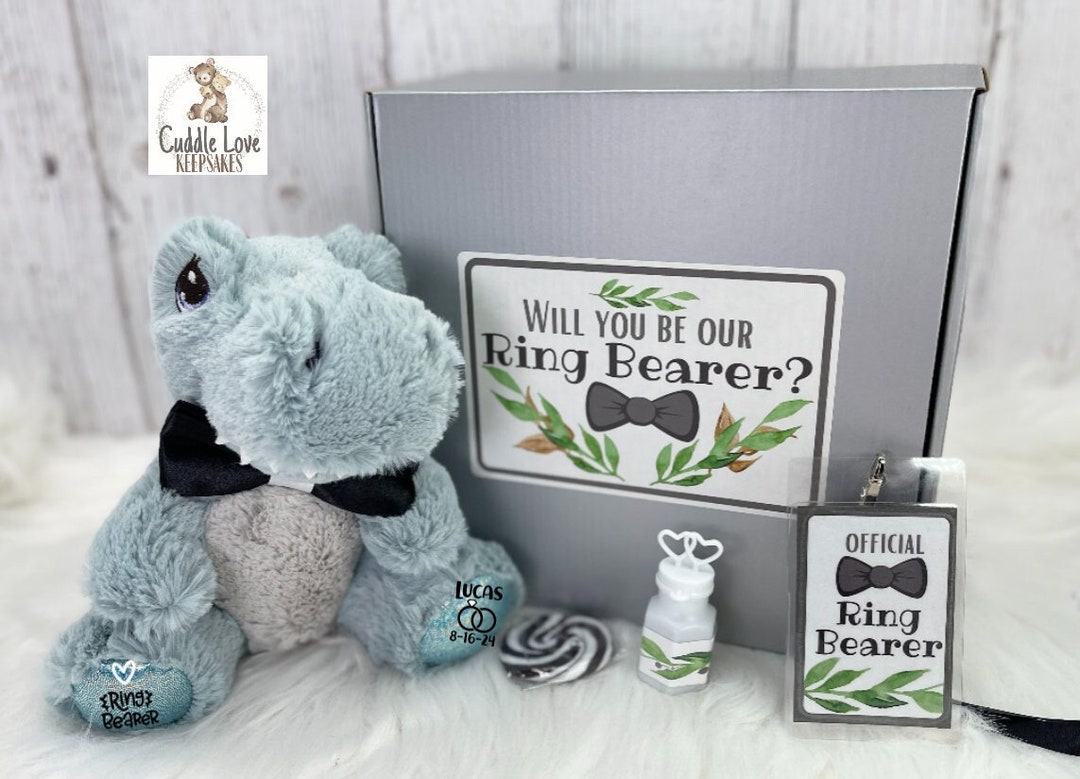 Ring Bearer T-rex Dinosaur Proposal Box, Flower Girl TREX Proposal ...