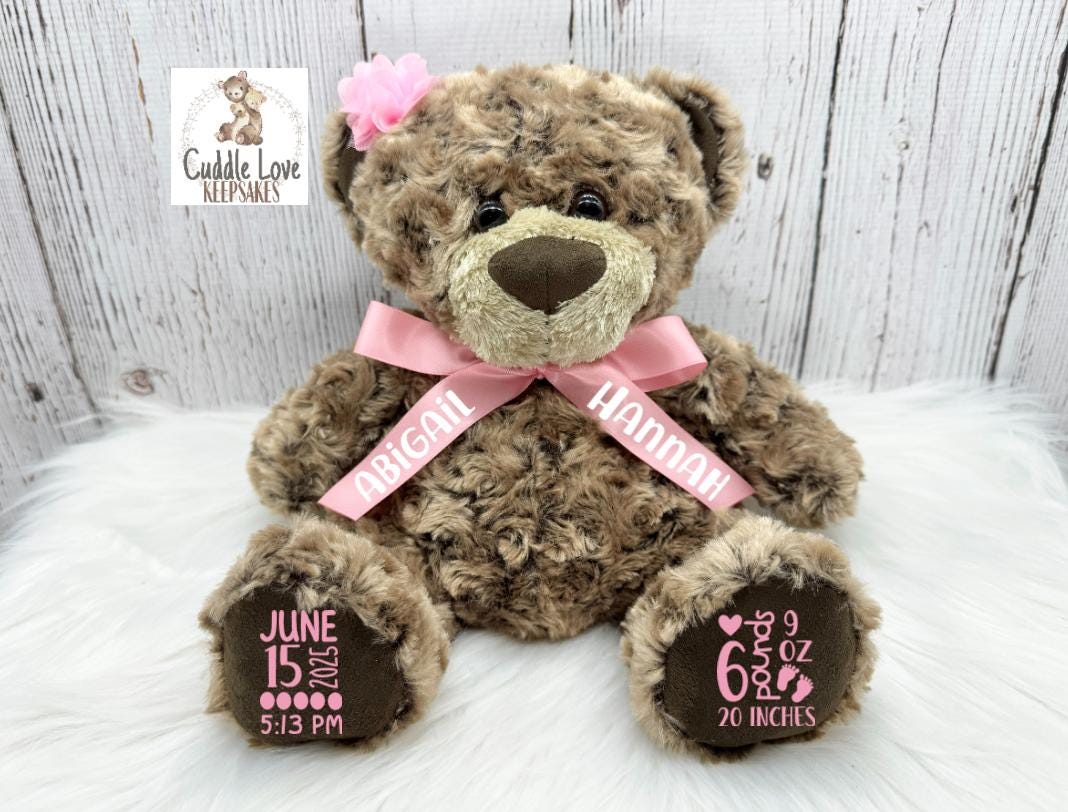 Weighted Teddy Bear Birth Stats Stuffed Animal, Personalized Plush Bear ...