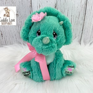 Ring Bearer Triceratops Dinosaur Proposal Box, Flower Girl Proposal ...