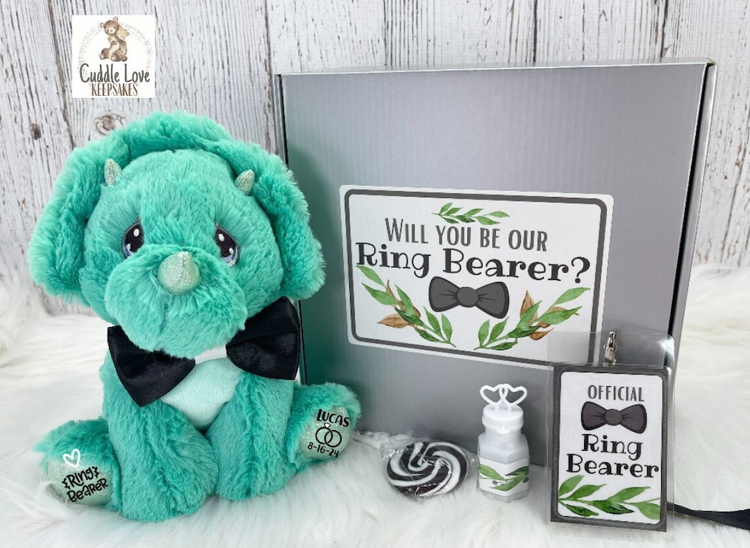 Ring Bearer Triceratops Dinosaur Proposal Box, Flower Girl Proposal ...