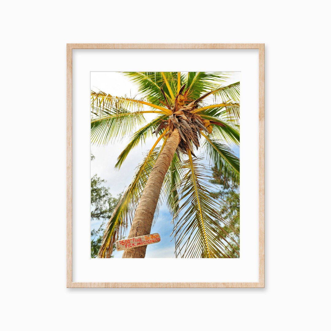 Palm Tree Printable Digital Download, Beach Coastal Tropical Wall Art ...