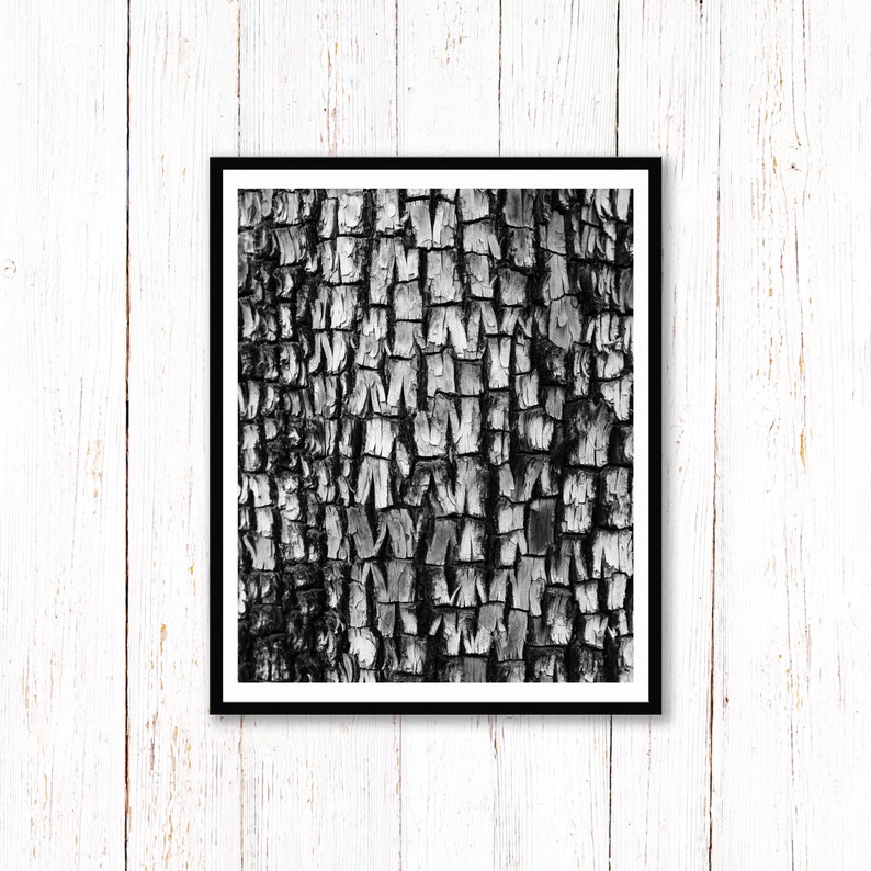 Tree Bark Prints, Printable, Set of 2 Prints, Prints, Cafe Art, Office ...
