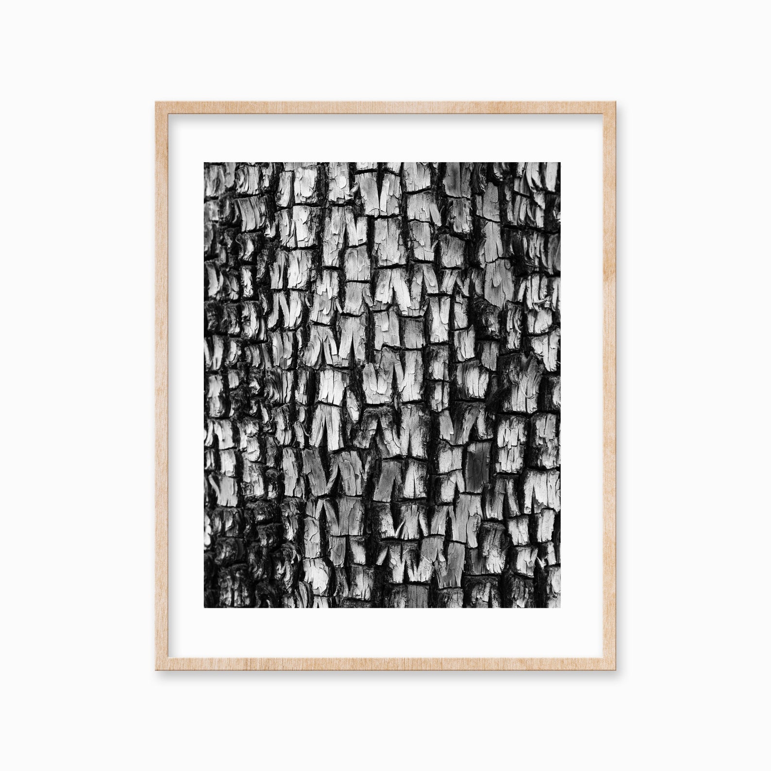 Tree Bark Prints, Printable, Set of 2 Prints, Prints, Cafe Art, Office ...