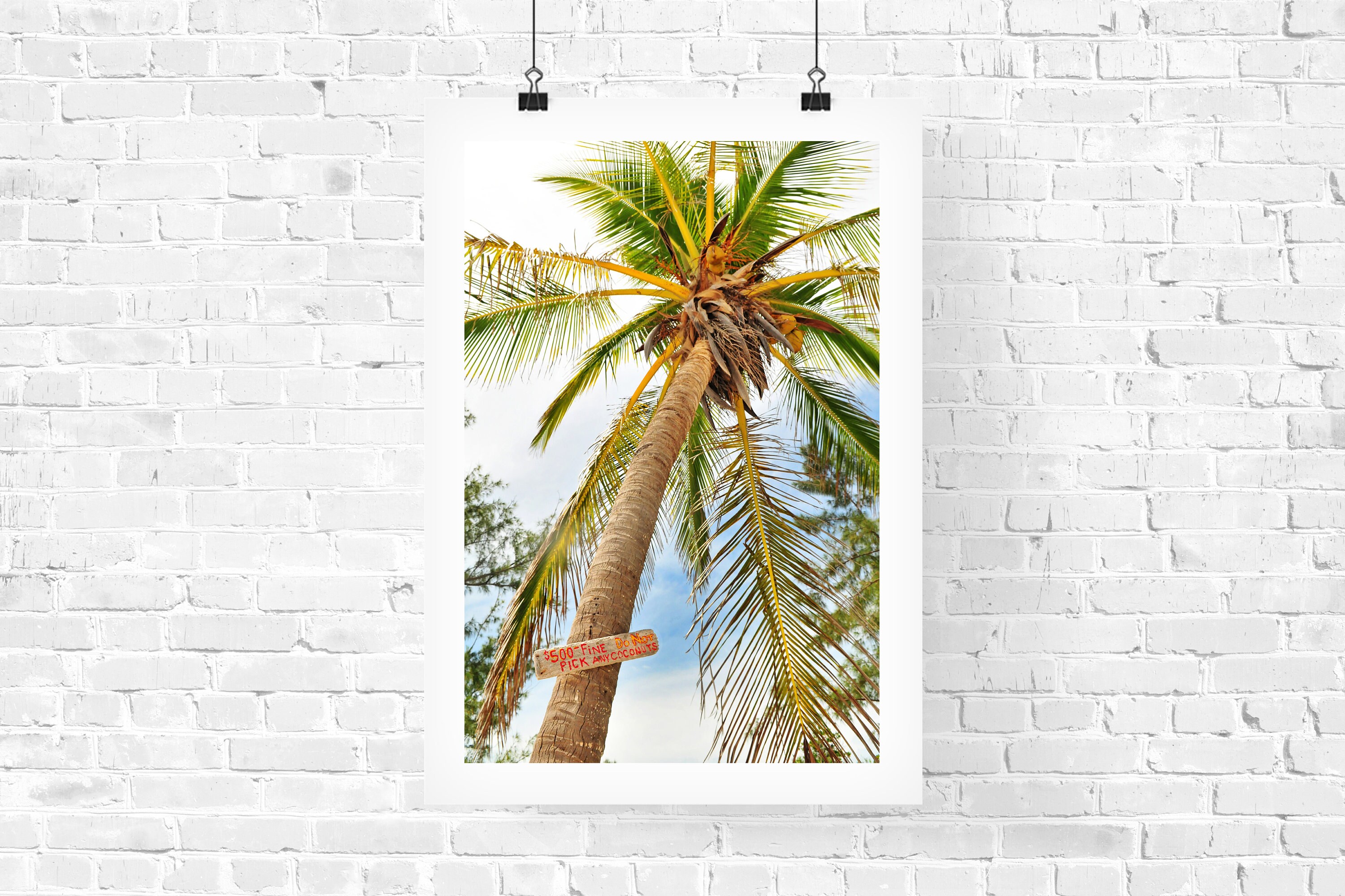 Palm Tree Printable Digital Download Beach Coastal Tropical - Etsy