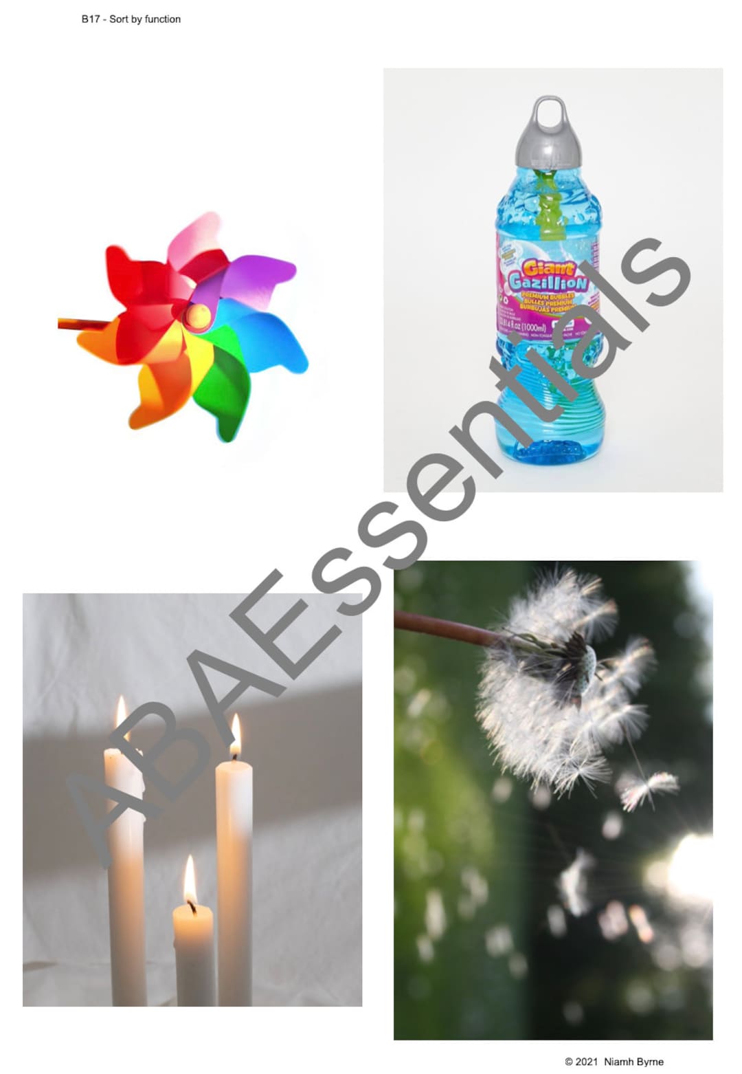 ABLLS-R B17 Flashcards Sort by Function - Etsy