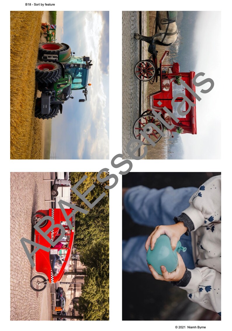 ABLLS-R B18 Flashcards Sort by Feature - Etsy