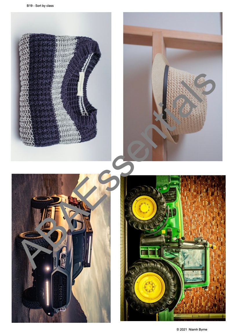 ABLLS-R B19 Flashcards Sort by Class - Etsy