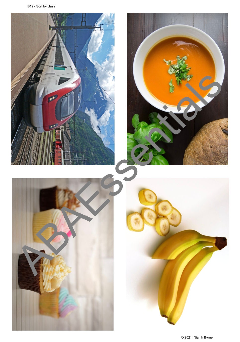 ABLLS-R B19 Flashcards Sort by Class - Etsy