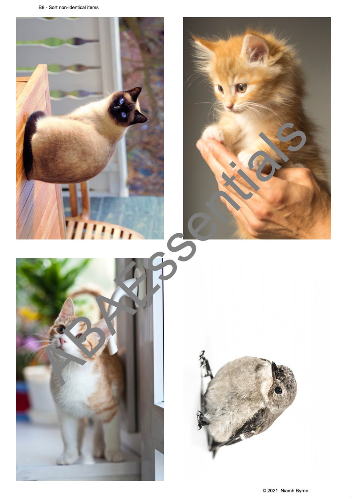 ABLLS-R Materials Section B Visual Performance - Etsy