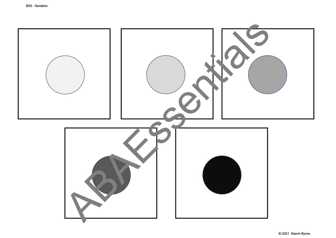 ABLLS-R Materials Section B Visual Performance - Etsy