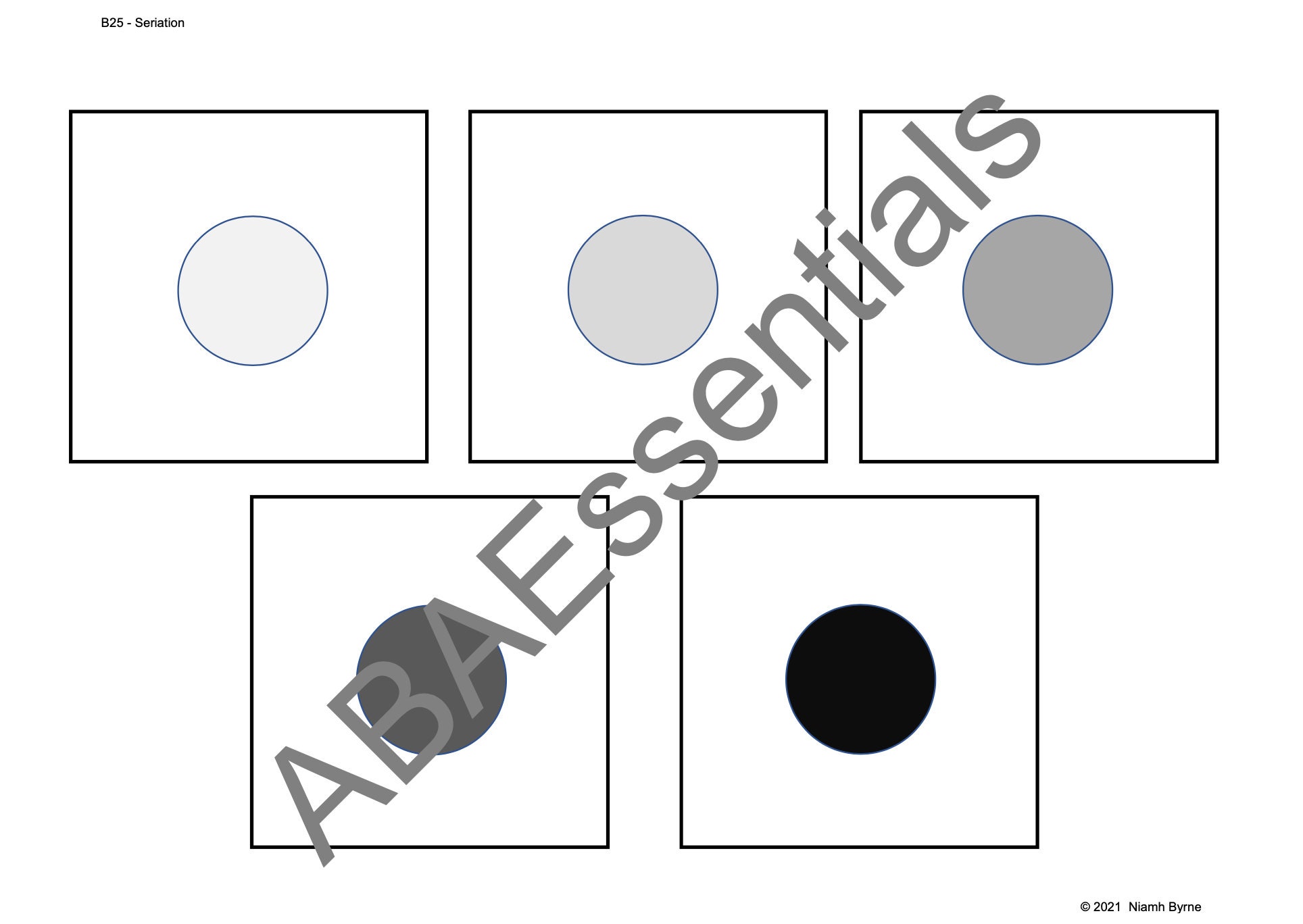 ABLLS-R Materials Section B Visual Performance - Etsy