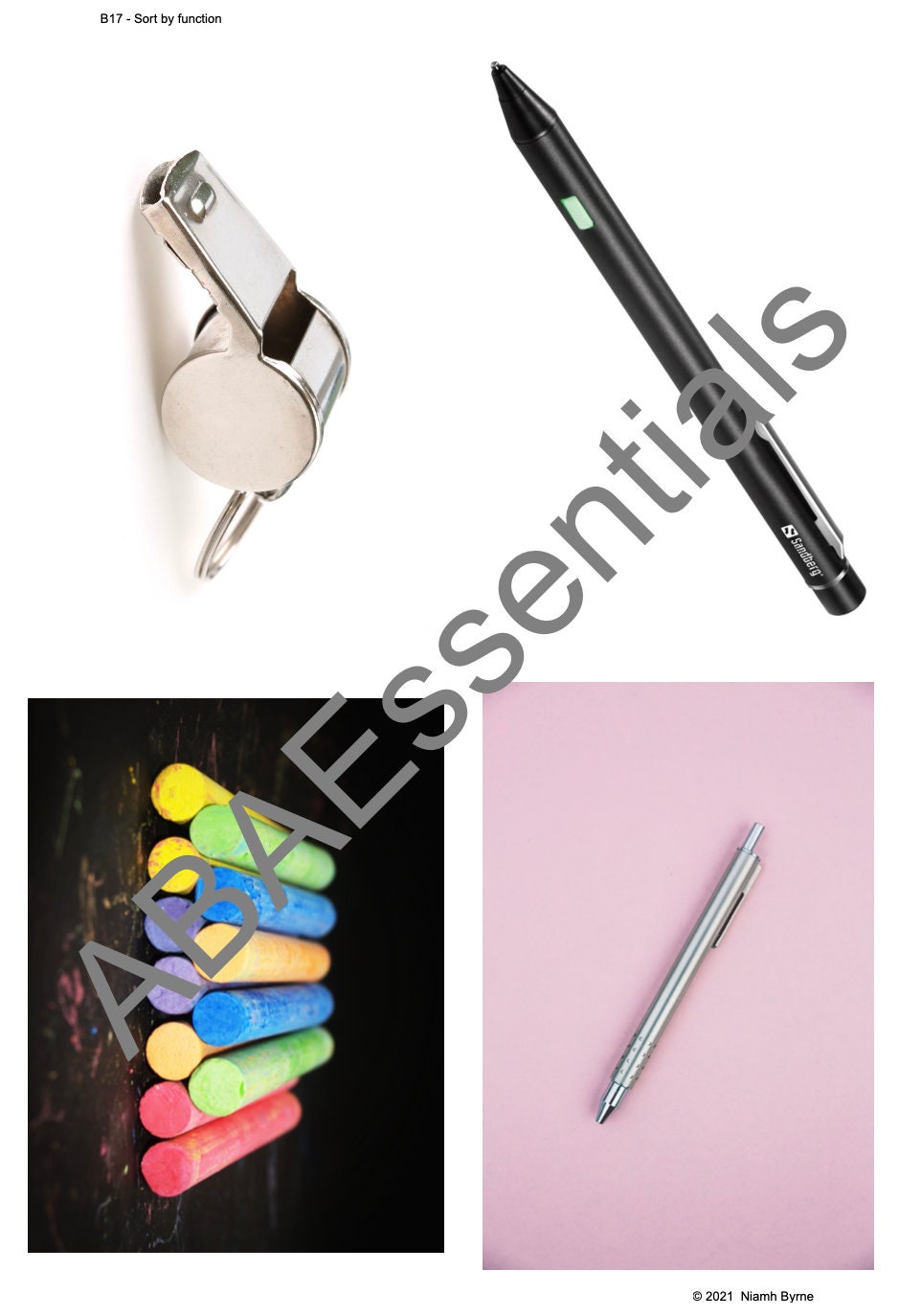 ABLLS-R B17 Flashcards Sort by Function - Etsy