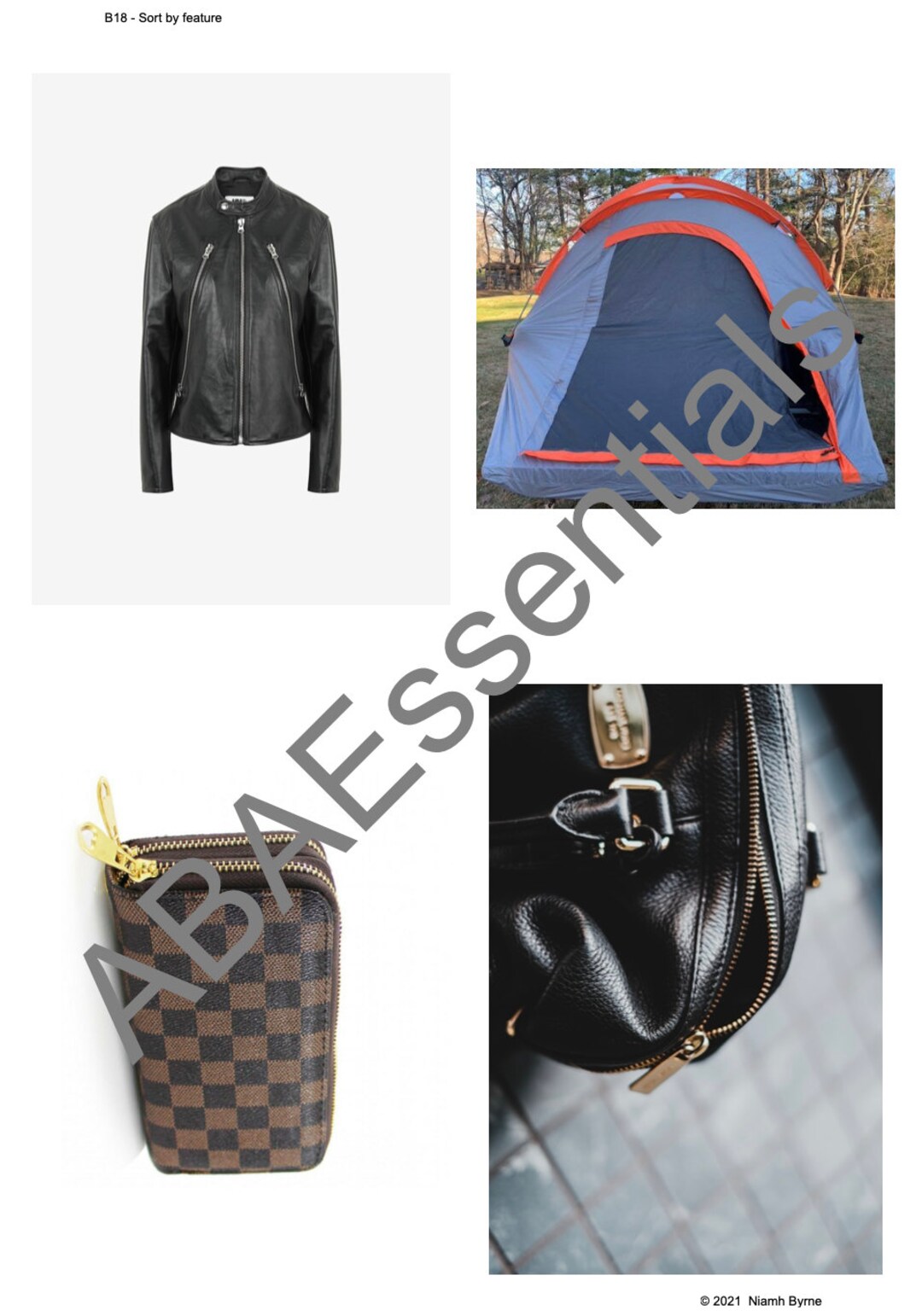 ABLLS-R B18 Flashcards Sort by Feature - Etsy