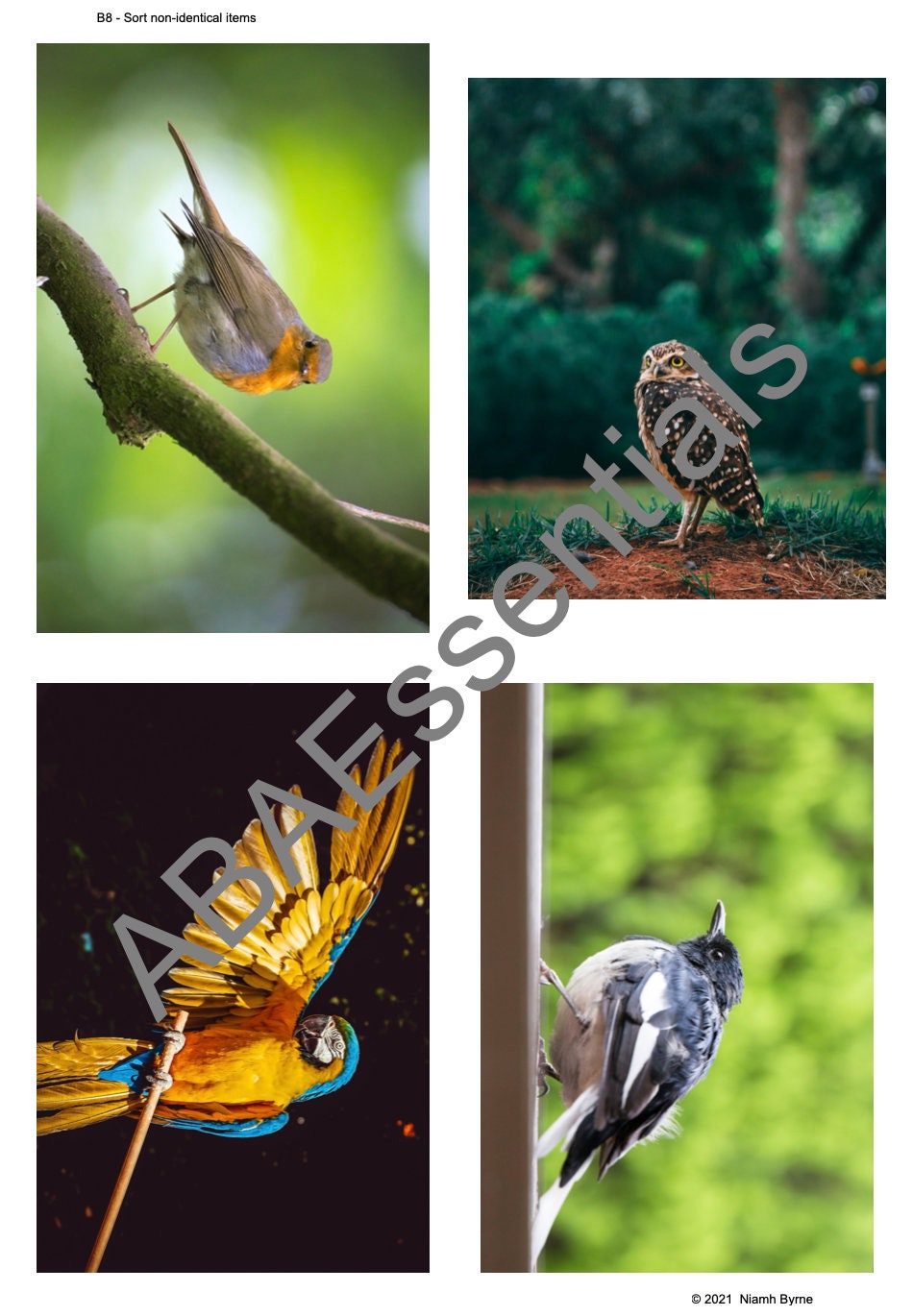 ABLLS-R B8 Materials flashcards Sort Non-identical Items - Etsy