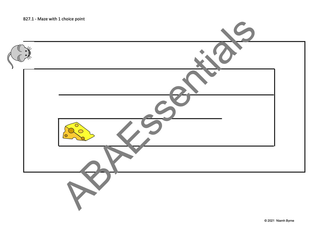 ABLLS-R B27 Mazes - Etsy