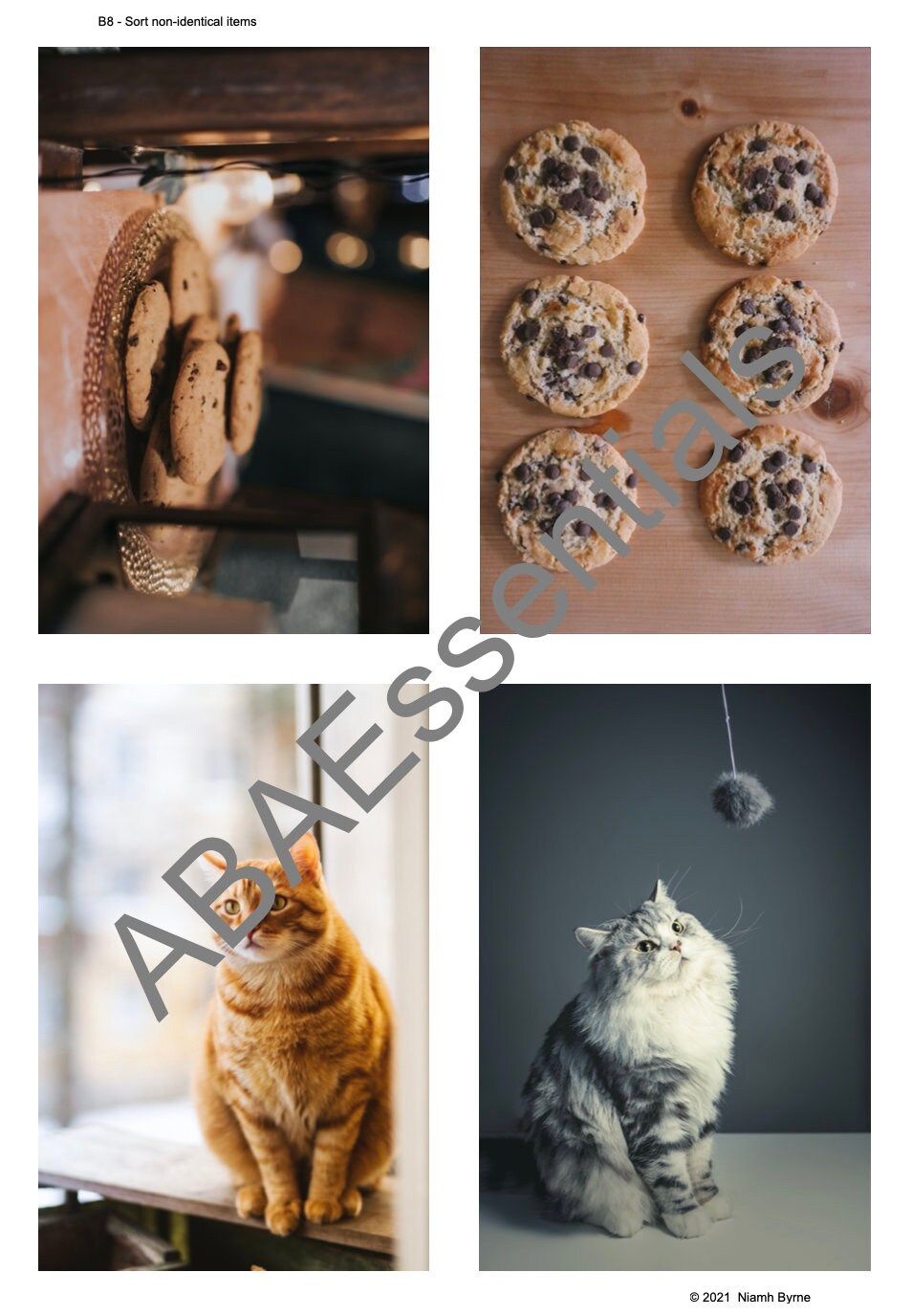 ABLLS-R B8 Materials flashcards Sort Non-identical Items - Etsy