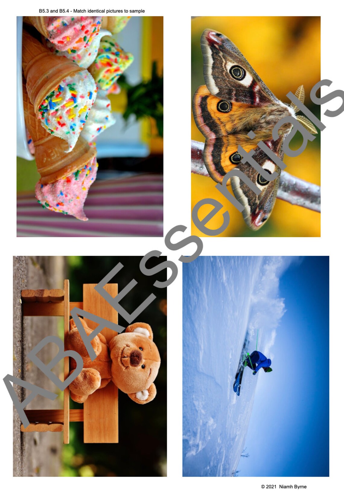 ABLLS-R Materials Section B Visual Performance | Etsy