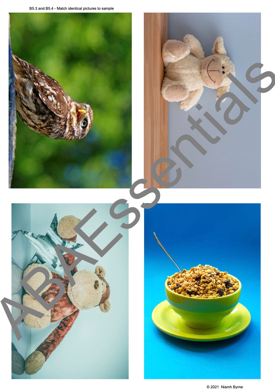 ABLLS-R B5, B7, B21 Materials Match Identical Pictures to Sample - Etsy