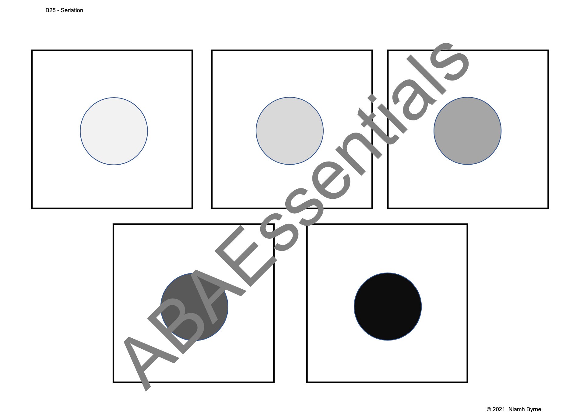 ABLLS-R B25 Flashcards Seriation - Etsy