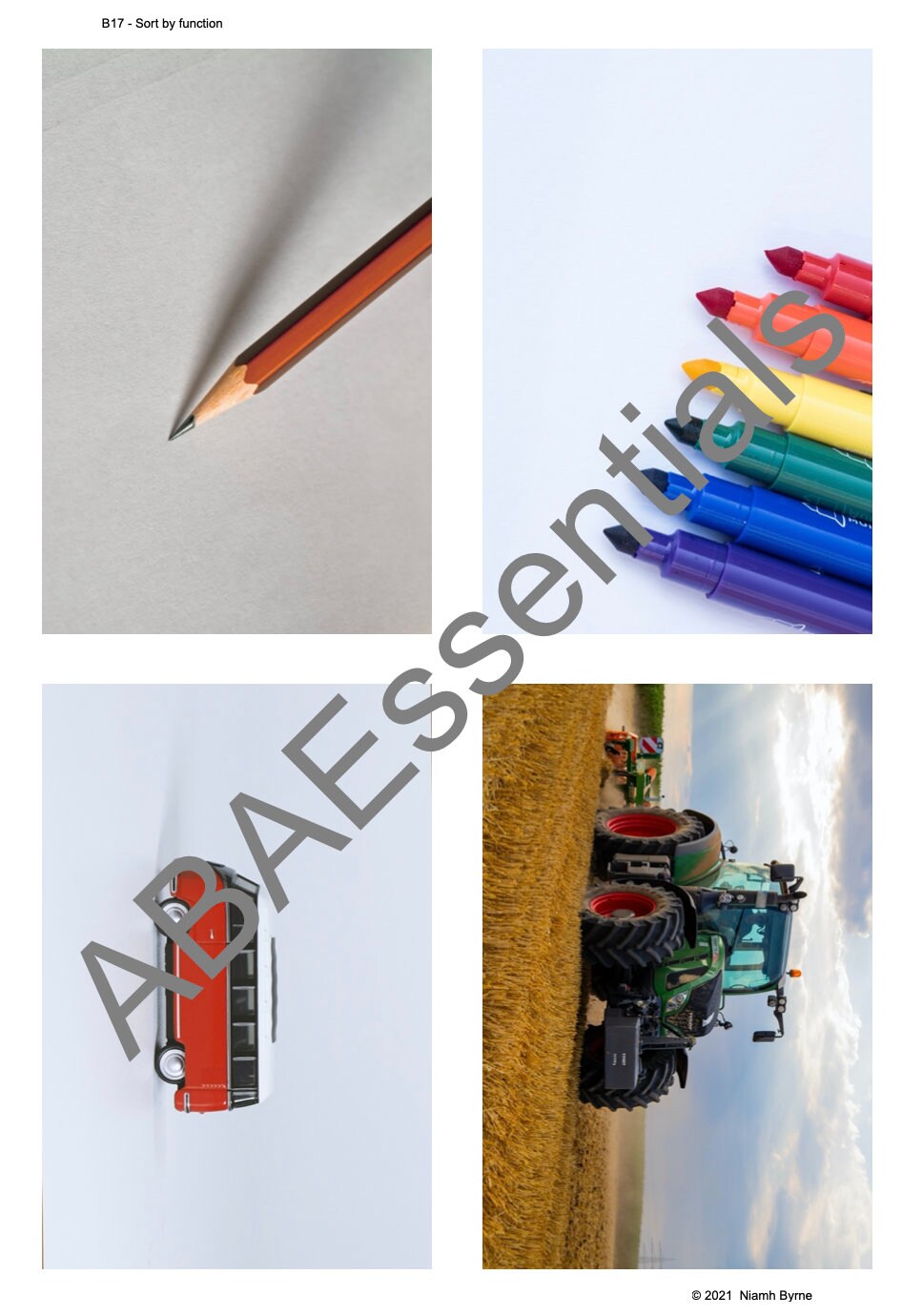 ABLLS-R B17 Flashcards Sort by Function - Etsy