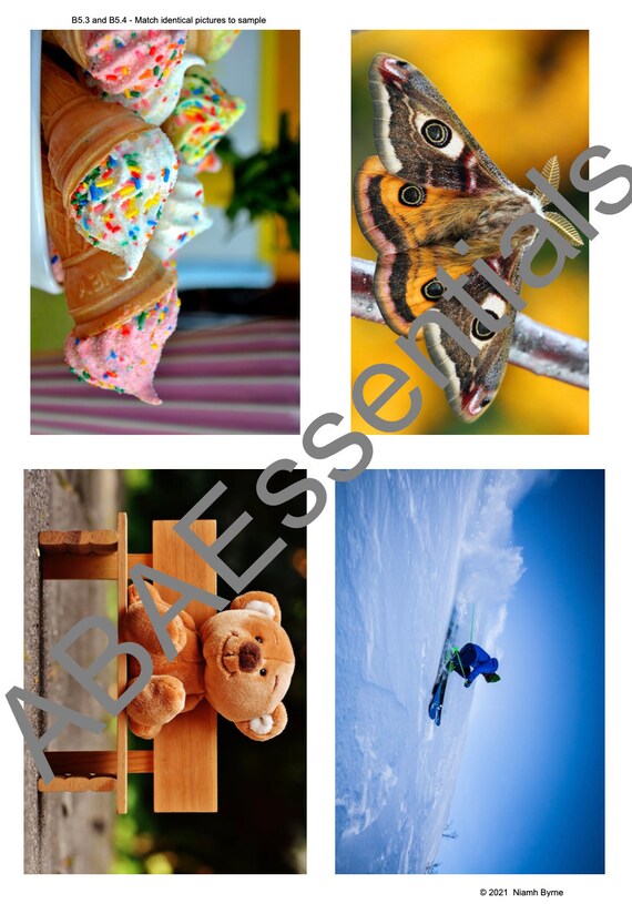 ABLLS-R B5 B7 B21 Materials Match Identical Pictures to | Etsy