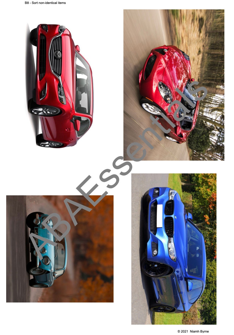 ABLLS-R B8 Materials flashcards Sort Non-identical Items - Etsy