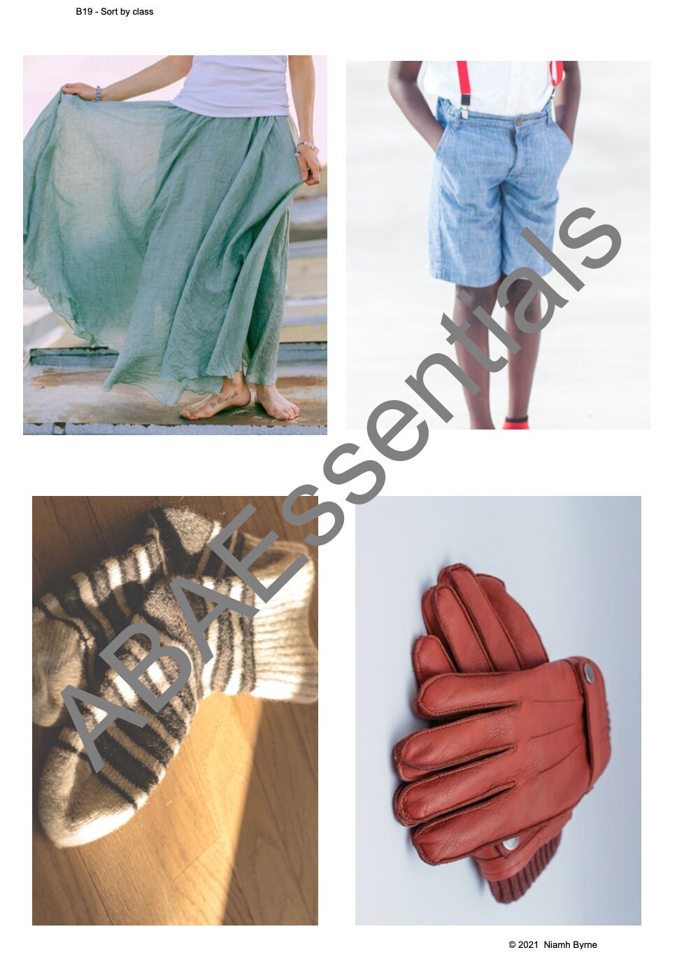 ABLLS-R B19 Flashcards Sort by Class - Etsy