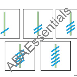 ABLLS-R B25 Flashcards Seriation - Etsy